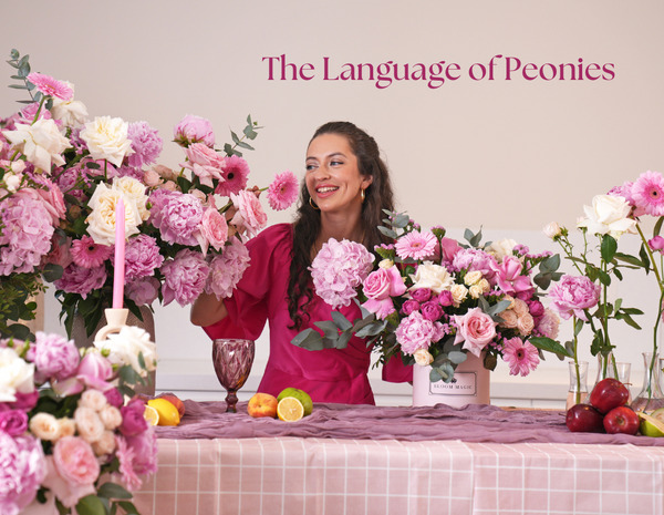 Meanings of Peony Flower Colours - Bloom Magic IE