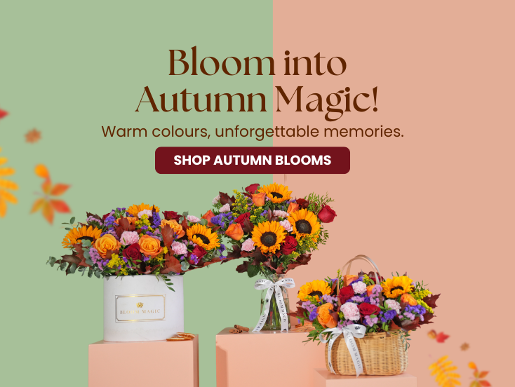 Flower Delivery Dublin & Ireland | Bloom Magic