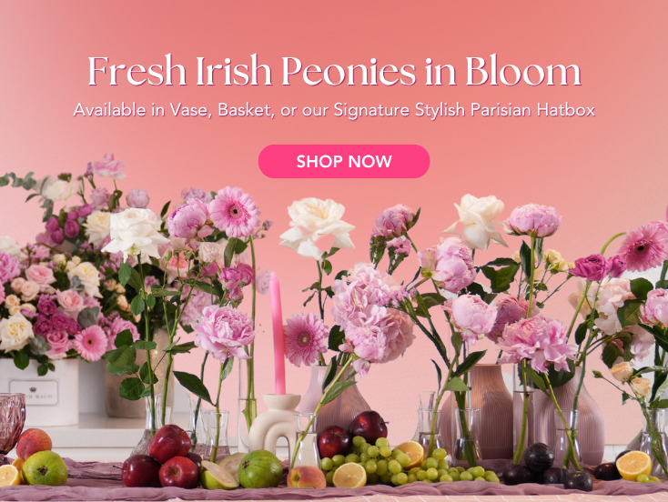 Flower Delivery Dublin & Ireland | Bloom Magic
