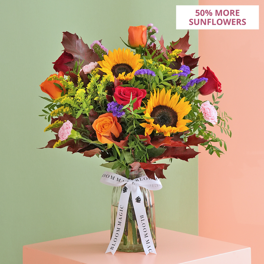 Complete Range - Bloom Magic IE