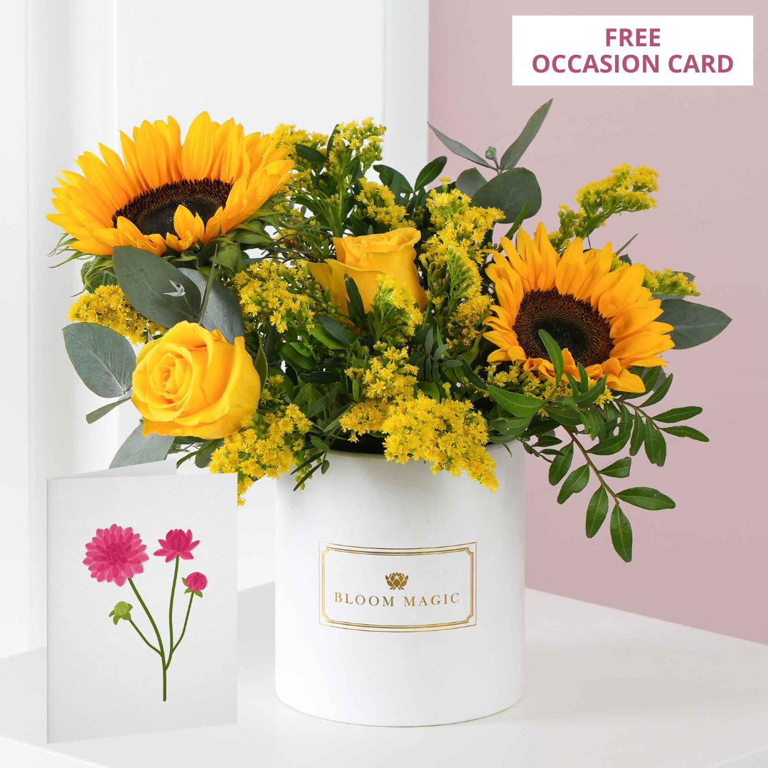 Complete Range | BloomMagiFlowers.ie - Bloom Magic IE