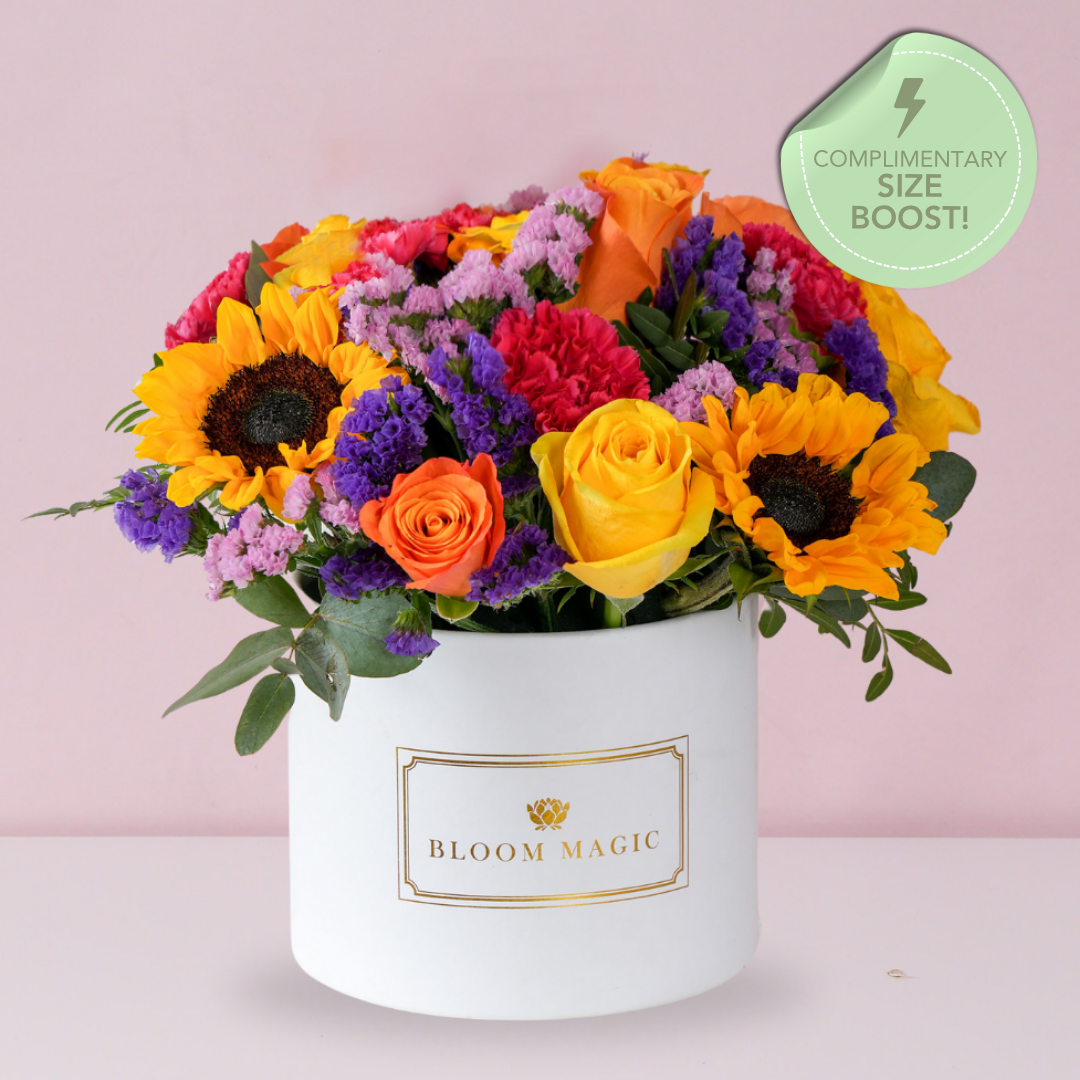 Complete Range - Bloom Magic IE