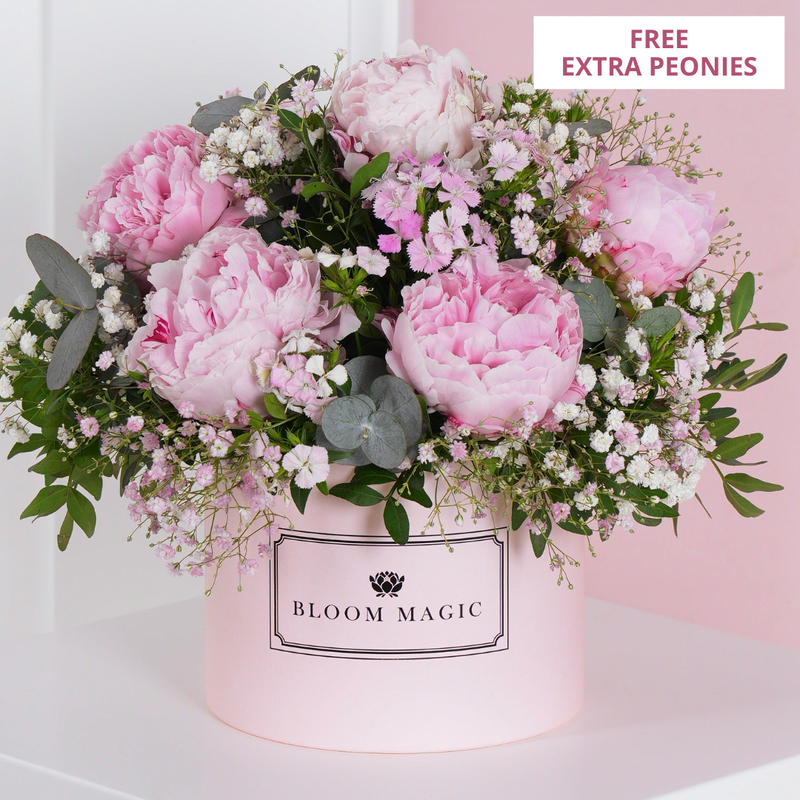 Complete Range | BloomMagiFlowers.ie - Bloom Magic IE
